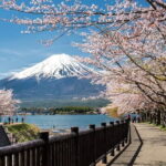 Mt Fuji, Hakone Private Tour by Car Pickup from Tokyo - Lake Kawaguchiko: Nature’s Canvas