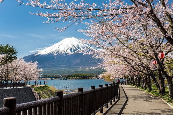 Mt Fuji, Hakone Private Tour by Car Pickup from Tokyo - Lake Kawaguchiko: Nature’s Canvas