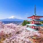 Mt Fuji /Kawaguchi customize private charter car - How the Day Unfolds