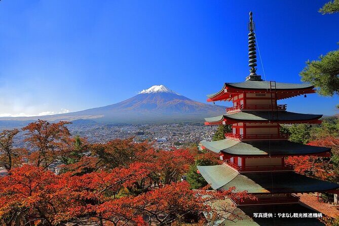 Mt.Fuji, Oishi Park & Arakurayama Sengen Park Bus Tour From Tokyo - Why This Tour Offers Great Value