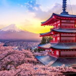 Mt Fuji Oshino Hakkai Gotemba Hot Spring tour from Tokyo/Shinjuku - Exploring the Itinerary in Detail