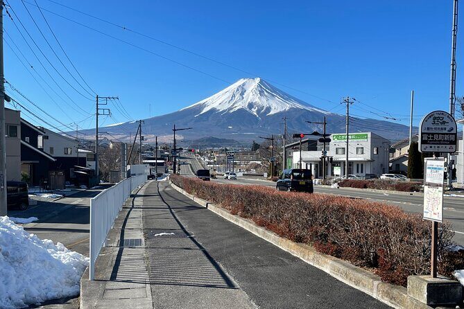 Mt FUJI - Panoramic Tour w/ Hoto Lunch, JP Sake & Onsen tatto OK! - Does the Price Justify the Experience?