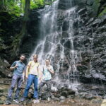 Mt. Fuji Private Chartered Tour with Nature & Wasabi Farm - What Travelers Say: Authentic Feedback and Insights