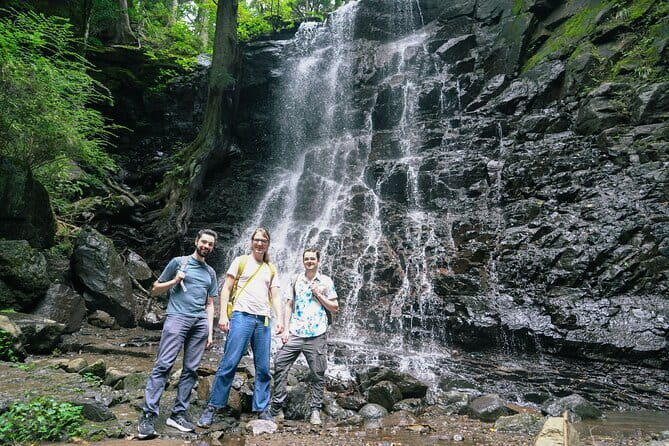 Mt. Fuji Private Chartered Tour with Nature & Wasabi Farm - What Travelers Say: Authentic Feedback and Insights