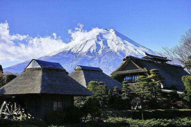 Mt Fuji Private Sightseeing Day Trip With English Speaking Driver - Who Would Appreciate This Tour?