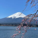 Mt Fuji Private Sightseeing Tour from Tokyo - What Travelers Say: Authentic Perspectives