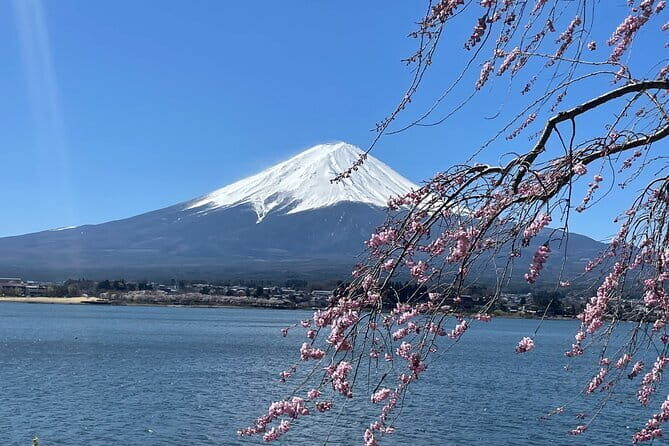 Mt Fuji Private Sightseeing Tour from Tokyo - What Travelers Say: Authentic Perspectives