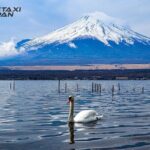 MT. FUJI/ Private Tour delivered and guided by a top-tier driver - Who Is This Tour Best For?