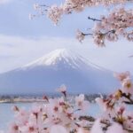 Mt Fuji Private Tour with English speaking driver - What Travelers Can Expect & Why It Matters