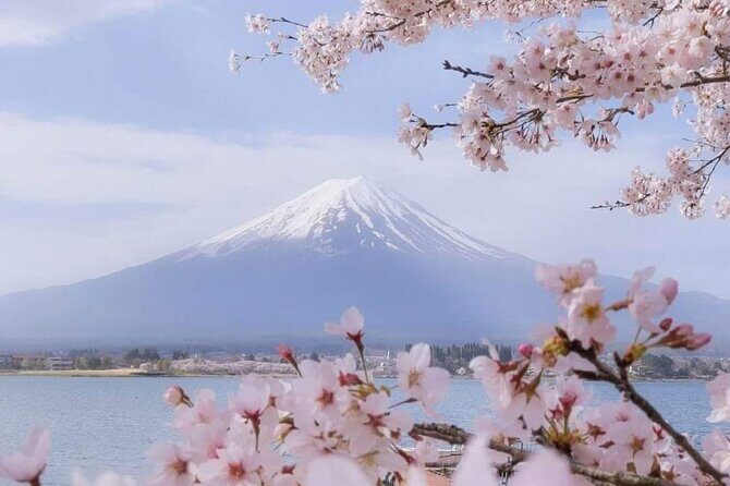Mt Fuji Private Tour with English speaking driver - What Travelers Can Expect & Why It Matters