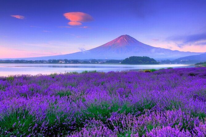 Mt. Fuji Tour in Lake Kawaguchi and Oshino Hakkai - Transportation and Timing: What You Need to Know