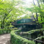 Mt. Fuji viewing & Suntory Hakushu Distillery Whisky Museum - What Travelers Say