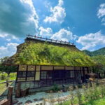 Mt. Fuji with English and Spanish speaking driver - What Travelers Think: Insights from Reviews