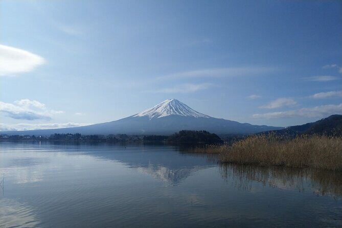 Mt Fuji with Kawaguchiko Lake Day Tour - What’s Included and What’s Not