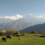 Mt. Ganesh Himal (Yangra) 2025/2026 - The Sum Up