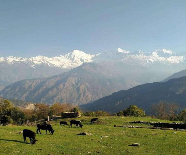 Mt. Ganesh Himal (Yangra) 2025/2026 - The Sum Up