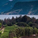 Mt Hood & Columbia River Private tour from Portland - Who Will Love This Tour?