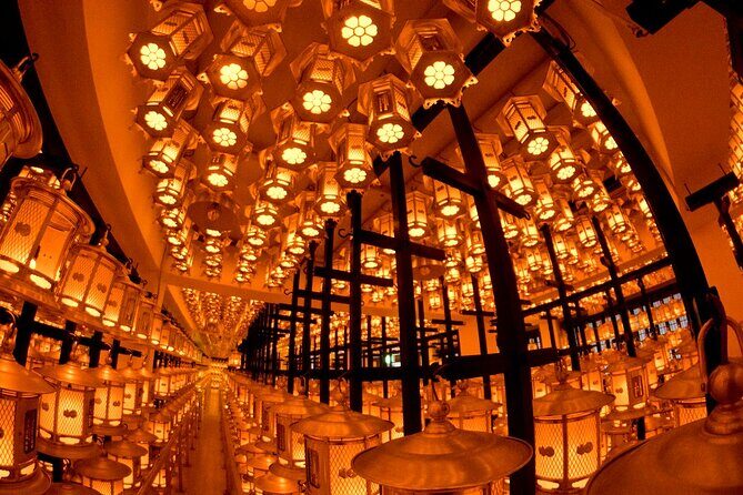 Mt Koya Full Day Tour from Osaka with Licensed Guide and Vehicle - Who This Tour Is Best For