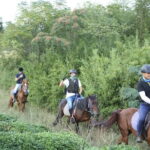 Mt Mogan Horse Riding - Half-day Outdoor Trail Riding near Hangzhou - Value and Practicalities