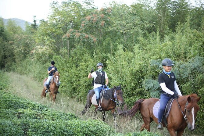 Mt Mogan Horse Riding - Half-day Outdoor Trail Riding near Hangzhou - Value and Practicalities