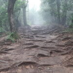 Mt. Takao with Hot Spring Private Tour - What We Loved & What to Consider
