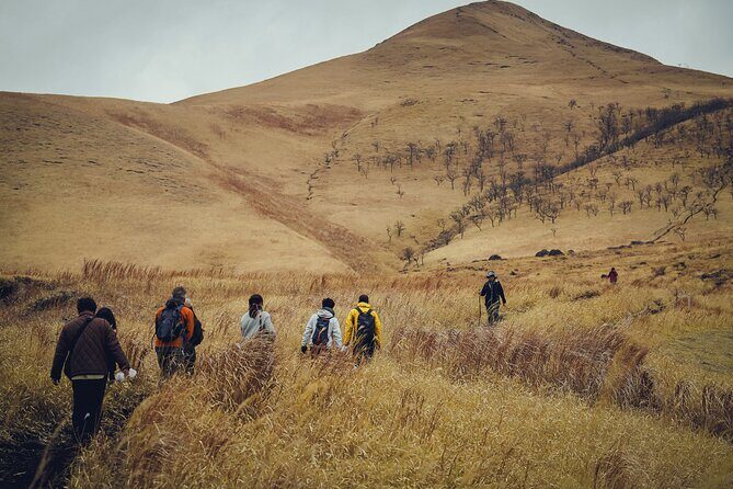 Mt. Yufu Grassland Private Hiking and Lunch - The Lunch in the Meadow: A Taste of Local Life