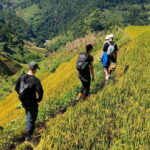 Mu Cang Chai: Highlights 3-hour Guided Hiking Trip - Who Should Consider This Tour?