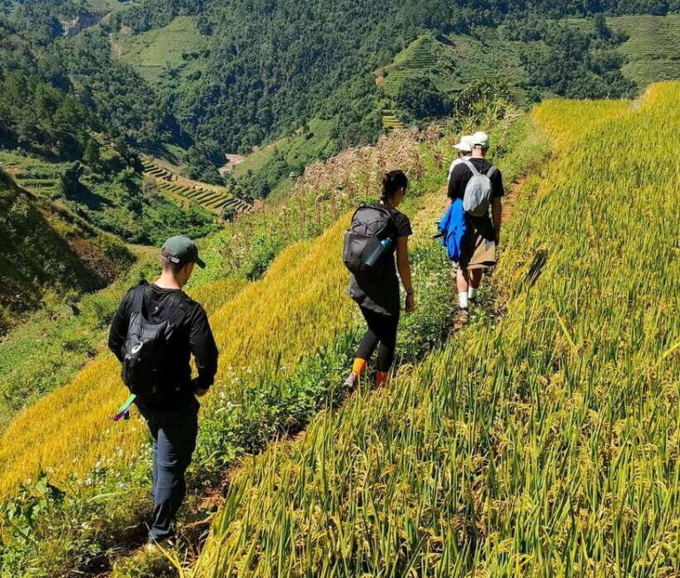 Mu Cang Chai: Highlights 3-hour Guided Hiking Trip - Who Should Consider This Tour?