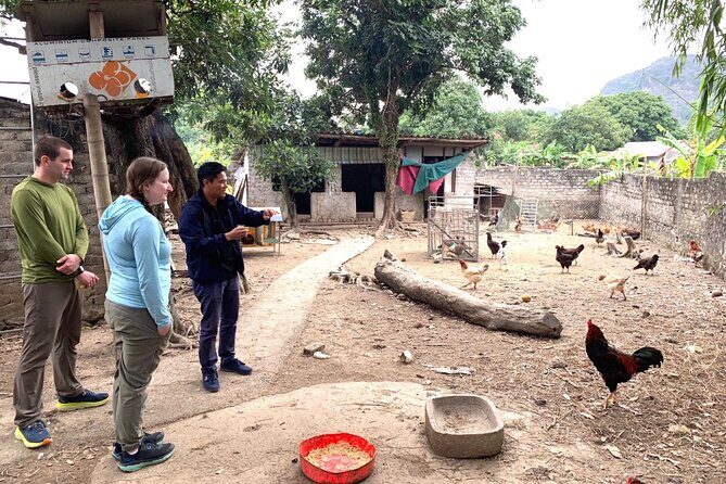 Mua Cave Tam Coc Hoa Lu Private Tour (Boat, Cycle, Local Family) - An Engaging Day in Ninh Binh