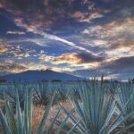 Multi Day Tequila Tour - Day 3: Nature’s Beauty in Uruapan