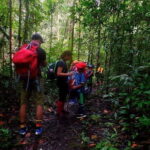 Mulu Headhunter's Trail - 3 Days Trekking & Cultural Experience - Who Will Love This Tour?