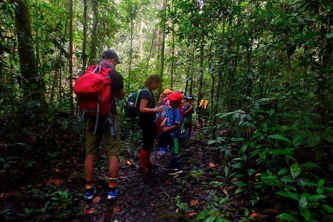 Mulu Headhunter's Trail - 3 Days Trekking & Cultural Experience - Who Will Love This Tour?