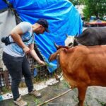 Mumbai: Guided City Sightseeing Tour - Key Points