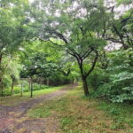 Mumbai: Maharashtra Nature Park Guided Nature Trail - What You Can Expect on the Tour