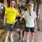 Mumbai: Private Sightseeing Tour & Slum Tour with a Local - Logistics and Value