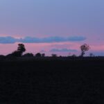 Mumbai to Mahabaleshwar Tour - In-Depth Exploration of the Tour