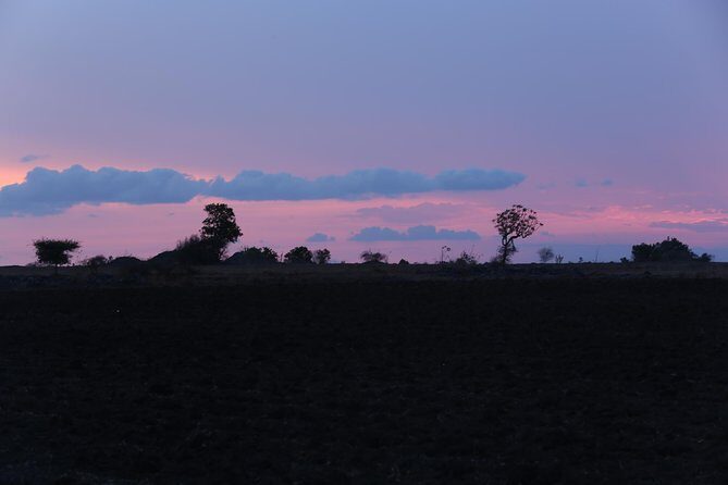 Mumbai to Mahabaleshwar Tour - In-Depth Exploration of the Tour