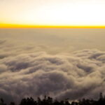 Munnar: Chokramudi Peak Full-Day Trekking Tour - Whats Included and Whats Not