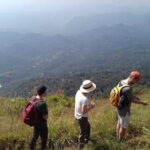 Munnar historical trail- (walk into Tea garden, village & market) - Who Should Consider This Tour?