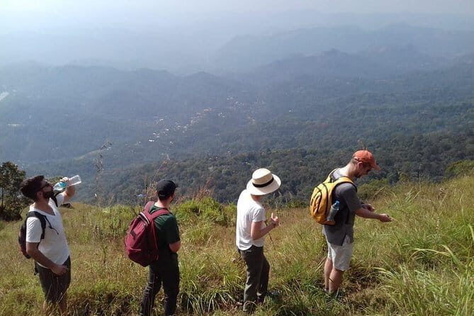 Munnar historical trail- (walk into Tea garden, village & market) - Who Should Consider This Tour?