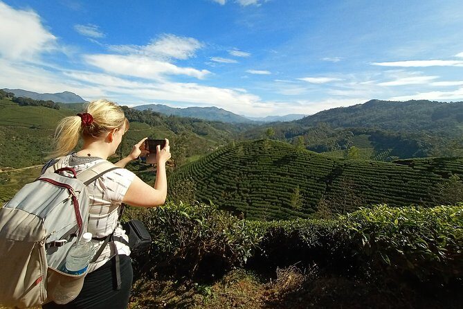 Munnar Tea Garden Trekking - What Sets This Tour Apart?