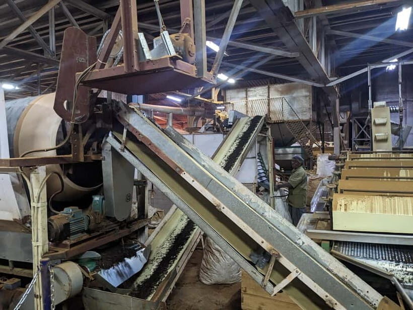 Munnar: Tea trail, Tea Factory, and Tea Tasting Tour - The Experience of the Plantation Walk