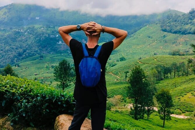 Munnar Tea Trail Tour , Tea factory visit & Tea Tasting - Who This Tour Is Perfect For