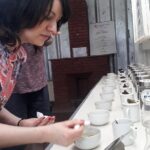 Munnar Tea Trail Tour with Factory Experience ( By Munnar Info) - What Makes This Tour Stand Out?