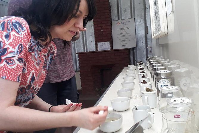 Munnar Tea Trail Tour with Factory Experience ( By Munnar Info) - What Makes This Tour Stand Out?