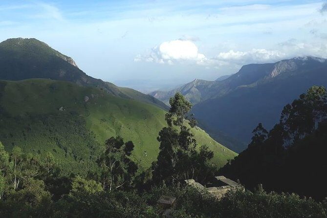 Munnar Tea valley Tour ( By Munnar Info) - How the Experience Feels