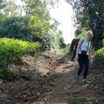 Munnar Trekking (Amazing Munnar Adventure Tours) - What Travelers Can Expect