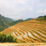 Muong Hoa Valley Trek 2 Days With Francophone Guide - The Itinerary Breakdown: From Village to Waterfall