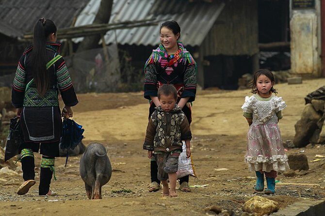 Muong Hoa Valley Trek & Homestay Experience - 4D3N - Who Will Love This Tour?