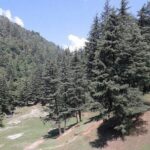 Mussoorie Weekend Tour Package 3 Days By Car - Exploring Mussoorie: Sightseeing and Activities